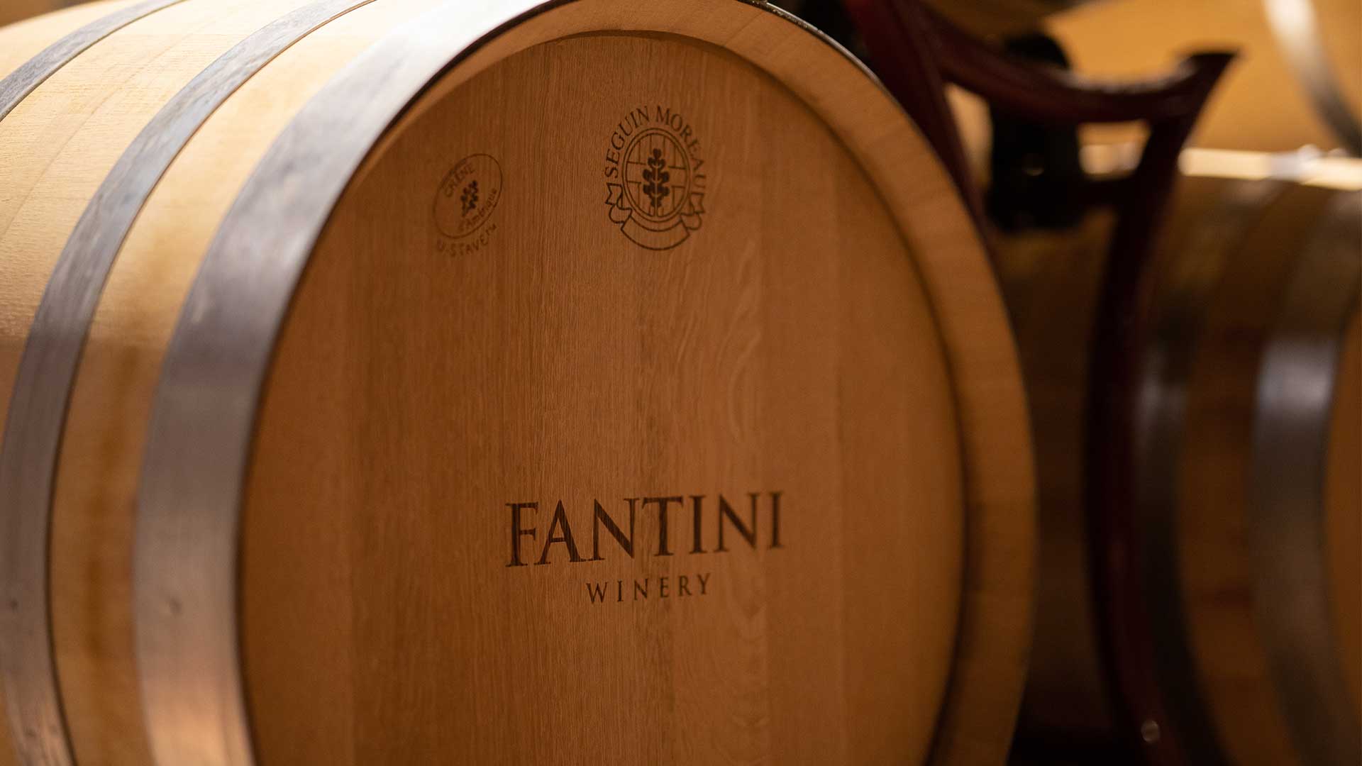 Our Commitment | Fantini Wines